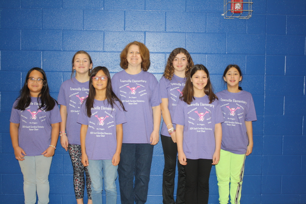 News Townville Elementary