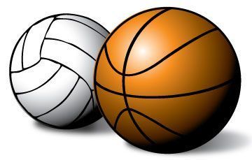 Basketball and volleyball store