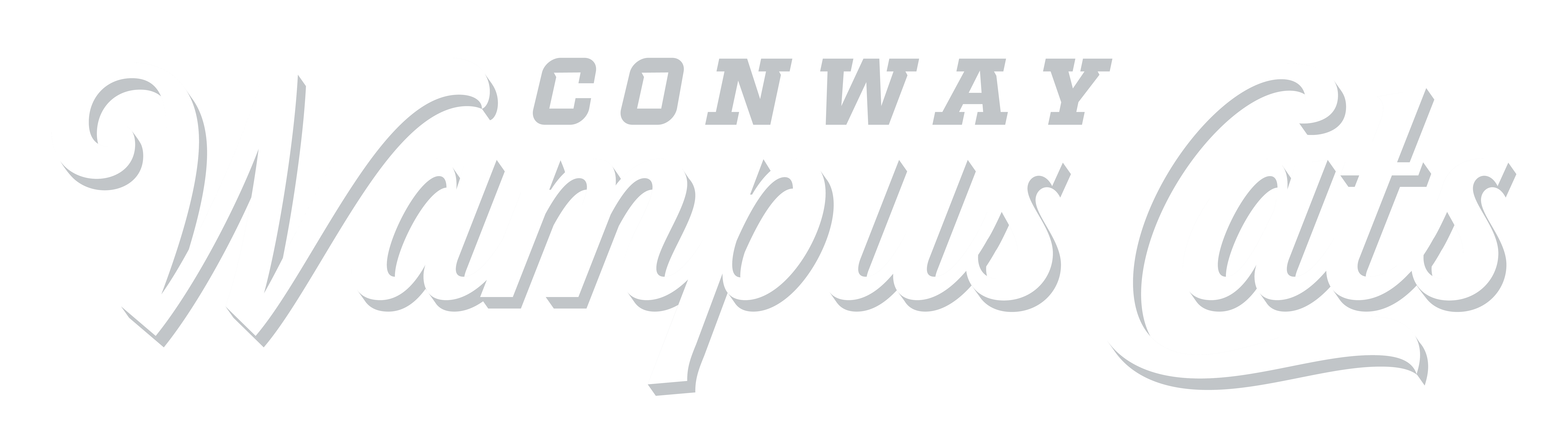 Documents | Conway Public Schools