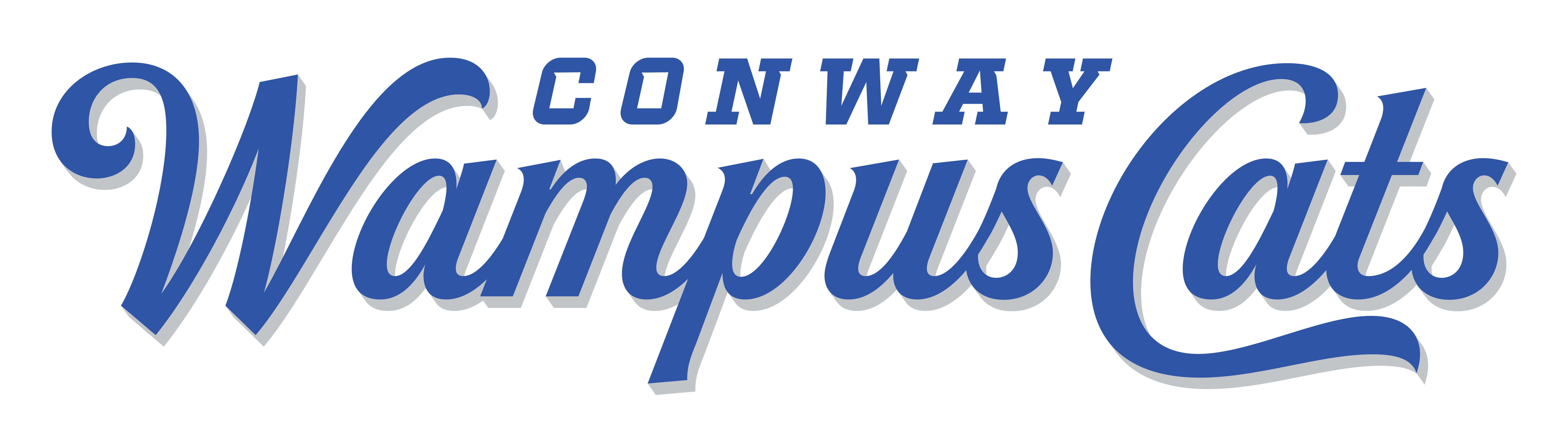 Documents | Conway Public Schools