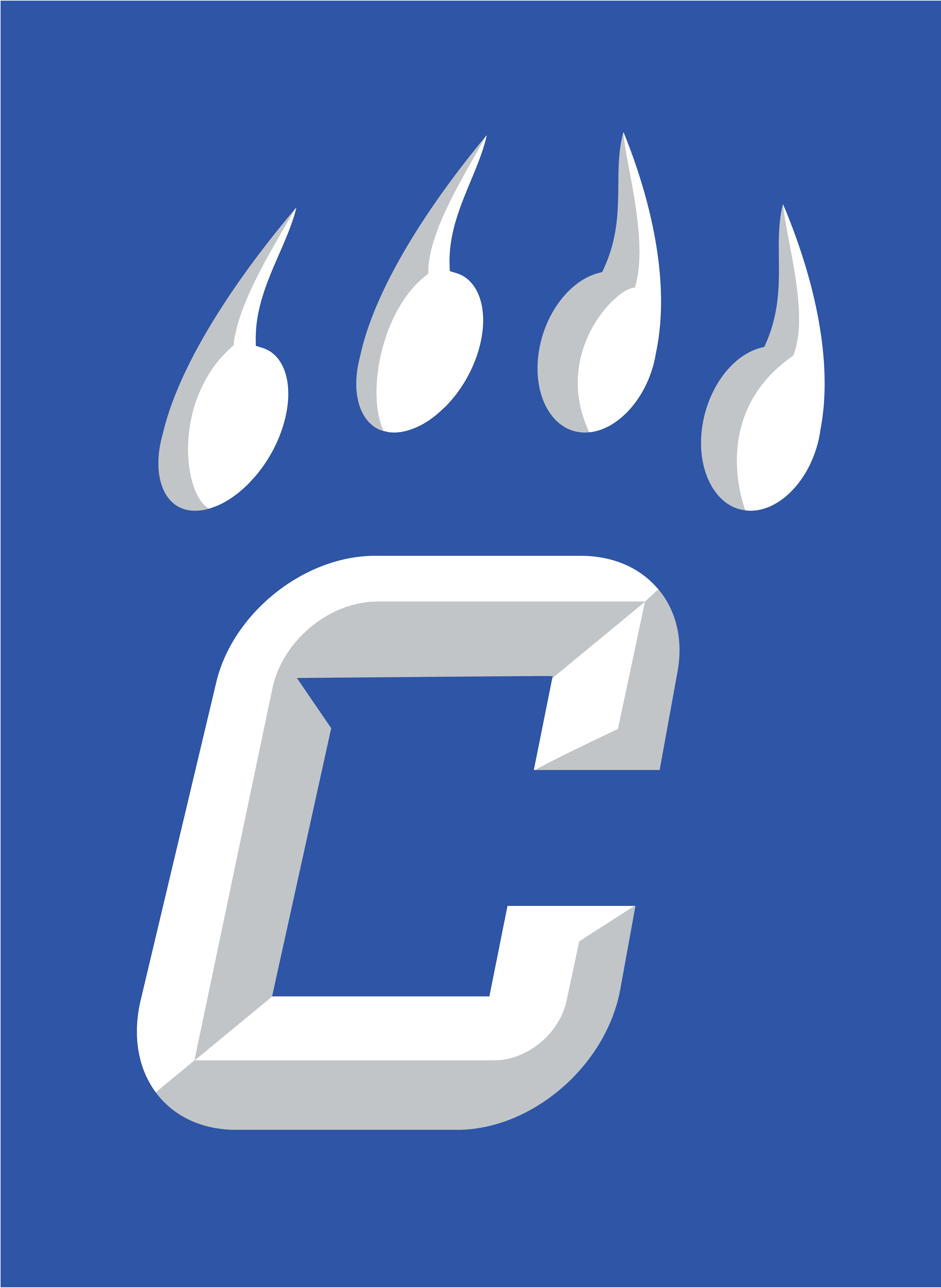 Reverse C Logo Champion Reverse Weave C Logo Acadia Green Hoodie