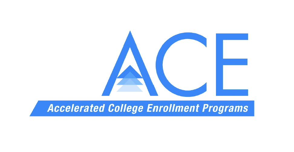 Ace School Logo