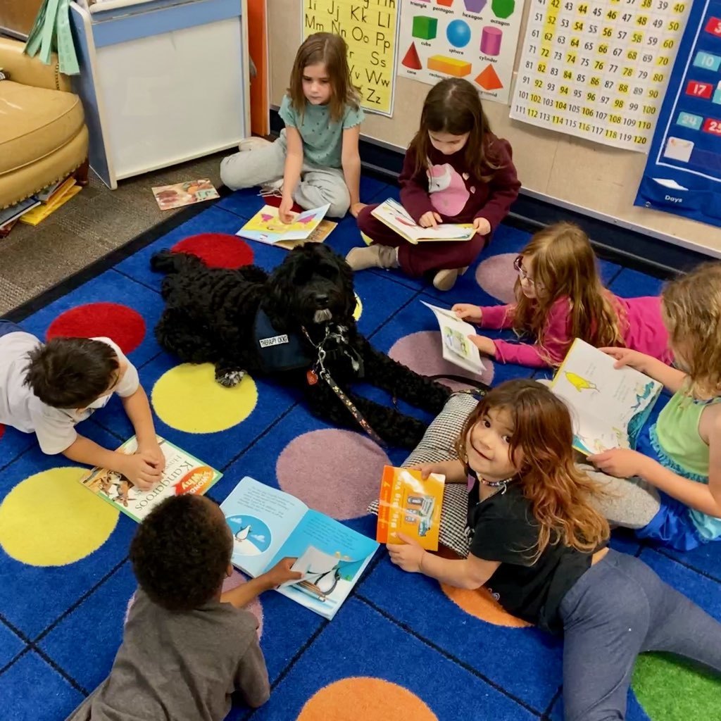 Live Feed | O'Connor Elementary