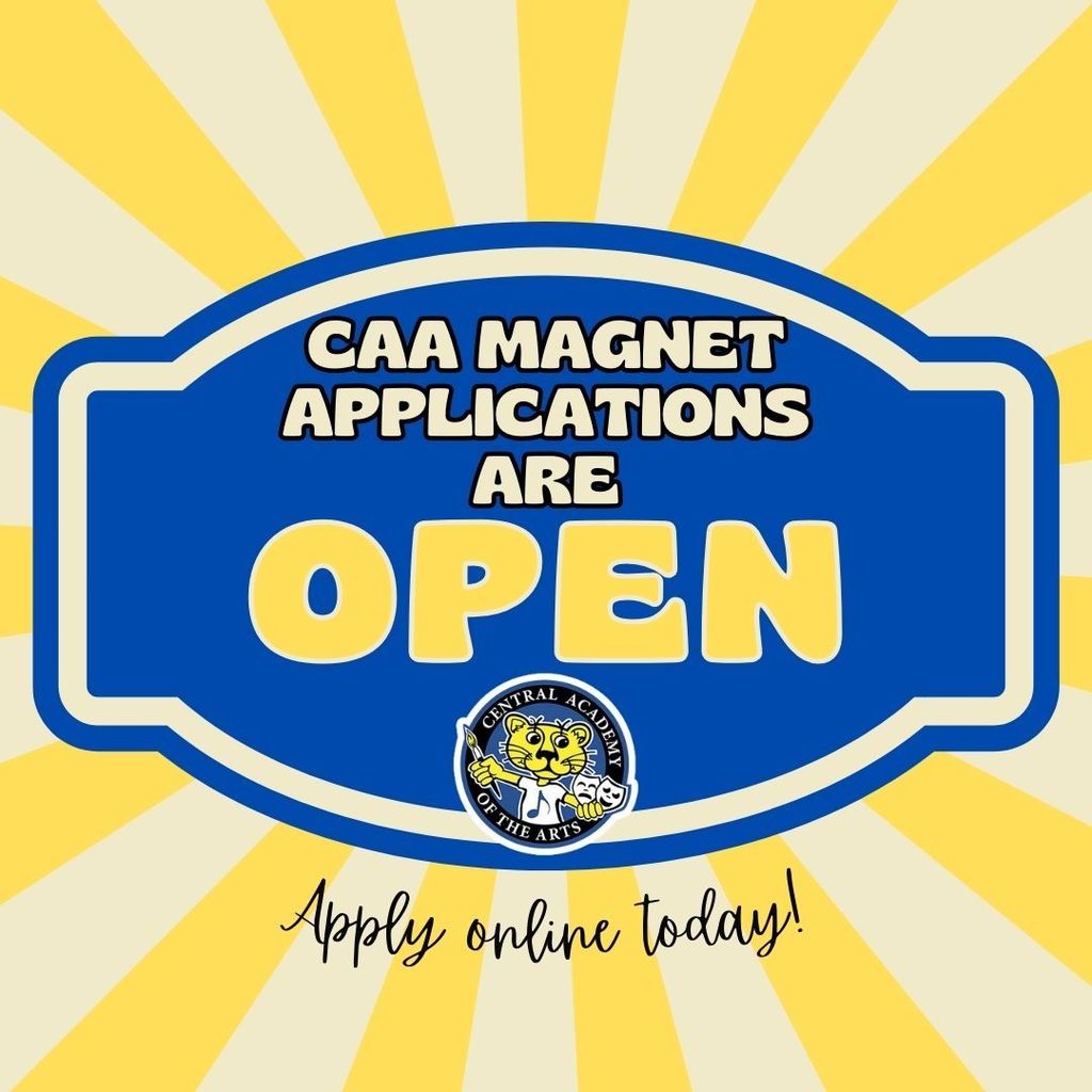 caa visual standards