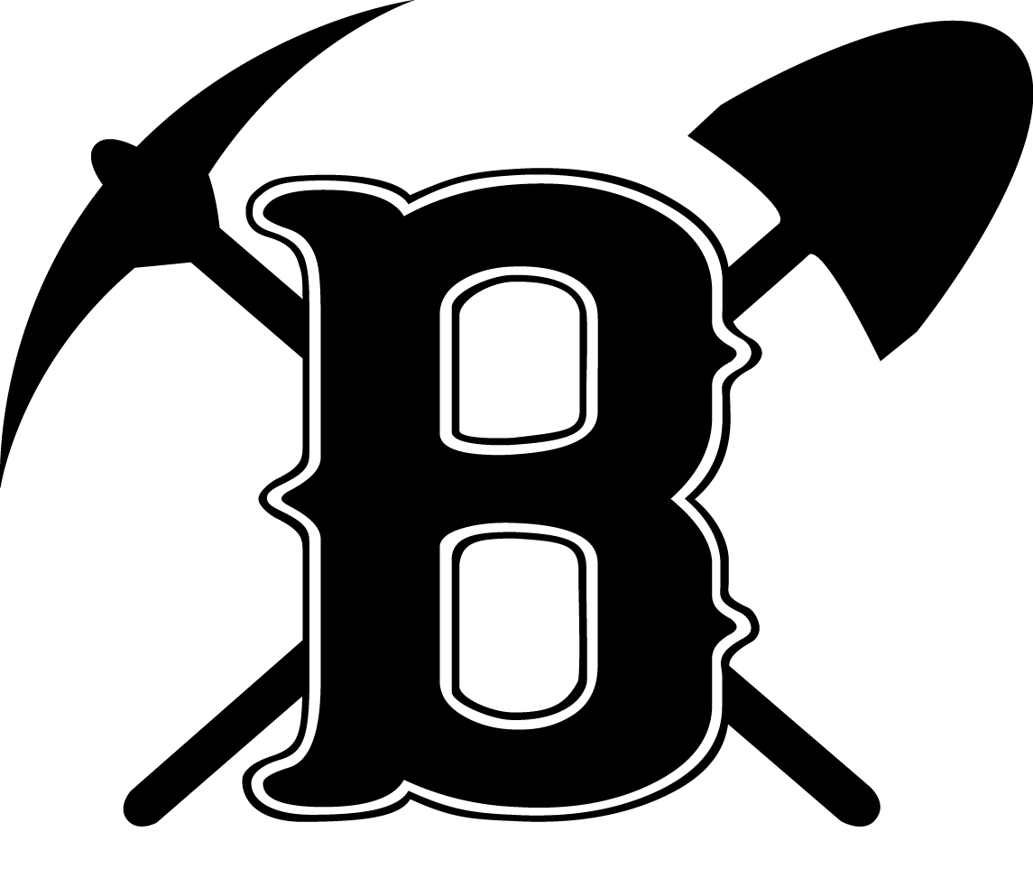 Bauxite Public Schools